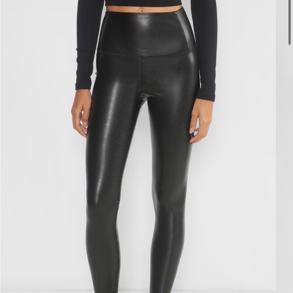 Aritzia Wilfred Daria Pants Leather Skinny Leggings - Gem